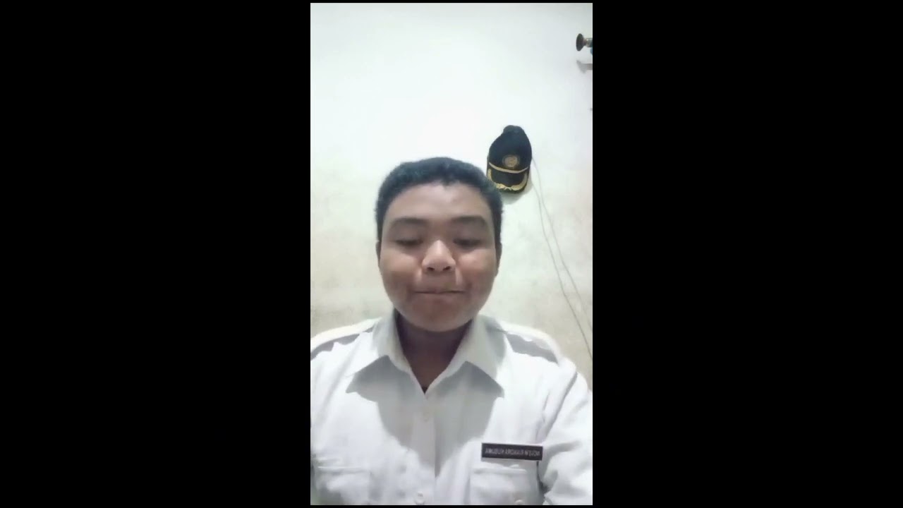 Factual Report Text: Cat