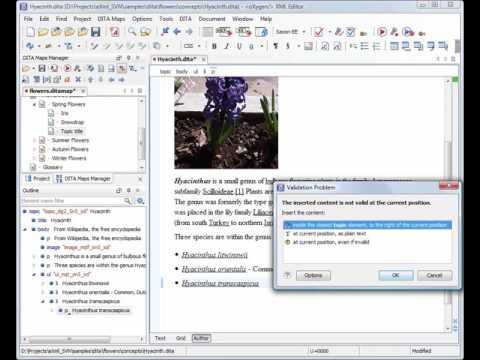 Smart Paste: Copy/Paste from Web and Office Documents to DITA, DocBook, TEI, XHTML Documents