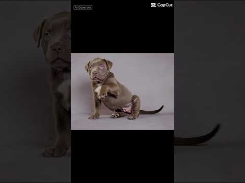 copy 5AF35B5C 97BE 4BFA 9334 7A8A09FD0D84