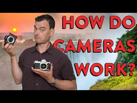 How Do Cameras Work? | + DSLR vs Mirrorless | Photography for Beginners