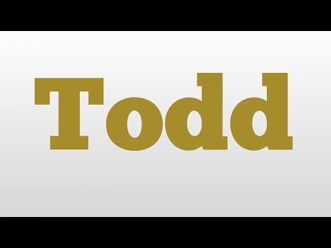 Todd meaning and pronunciation