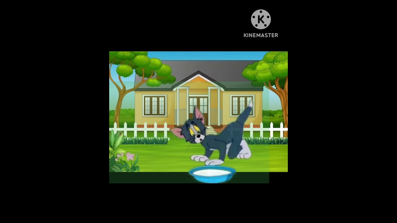 hungry tom#youtube #youtubeshorts #ytshorts