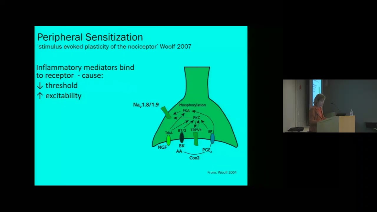 Pain Mechanisms Associated with Chronic Knee Osteoarthritis: Key Considerations for Appropriate Mana