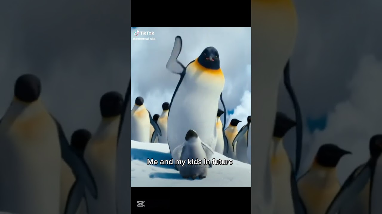 Stray kids memes that on another level part 3 ( source : Tiktok) [ Found in internet ] #straykids