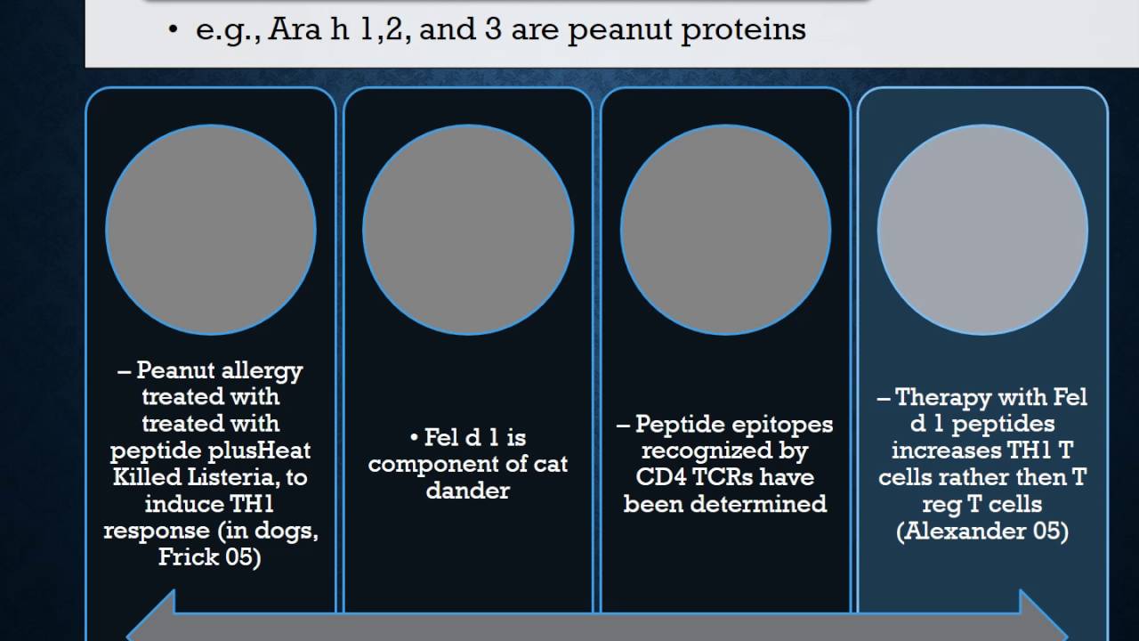 16 Hypersensitivity pptx