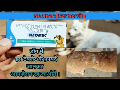 Neomec Tablet - Ivermectin Melt In Mouth Tablets Latest Price ...