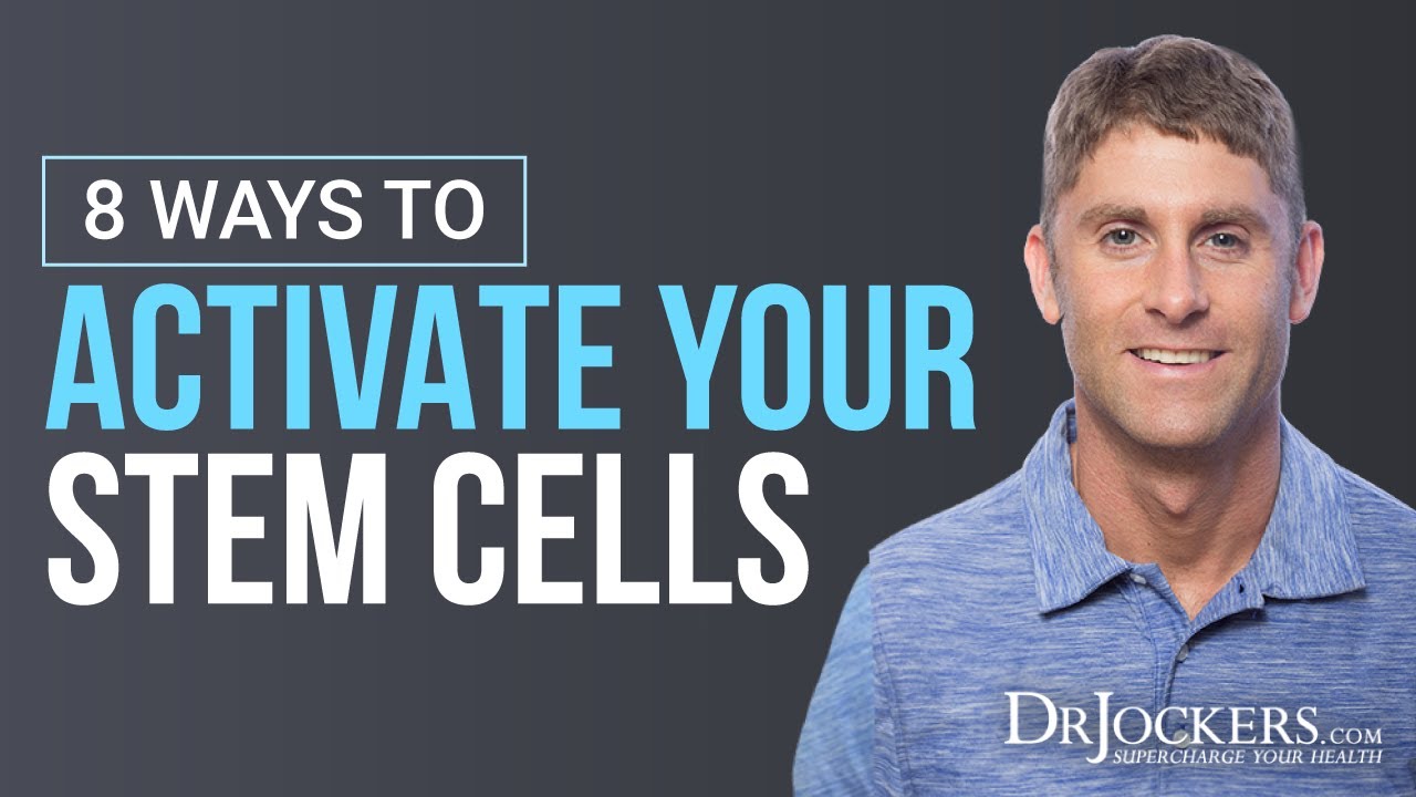 Stem Cells: What Are They and 8 Ways to Activate Them