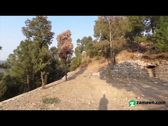 Villa Serenity: An Opulent Retreat In The Heart Of Pine City Pir Sohawa ...
