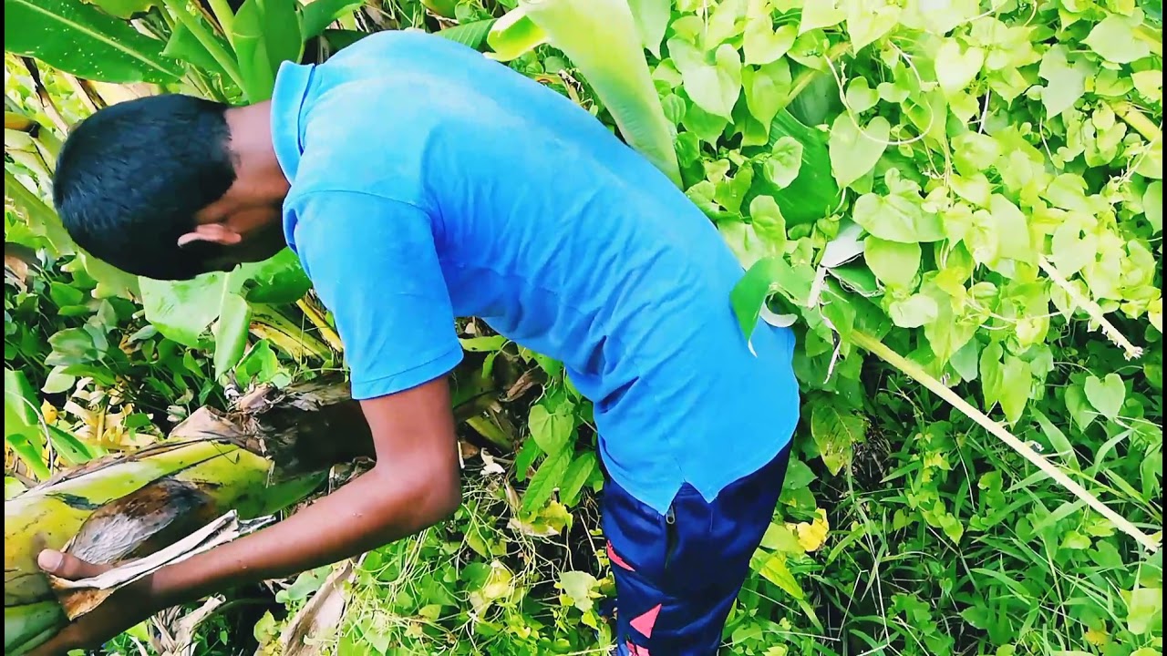 Wedding Decoration Preparation of Jessica T Mridha July 2019