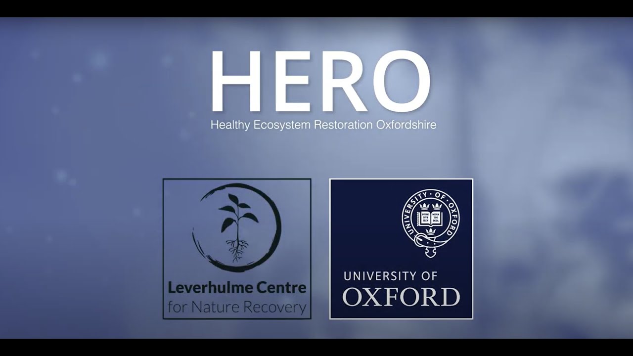 HERO Healthy Ecosystem Restoration Oxfordshire, a Leverhulme Centre for Nature Recovery initiative.