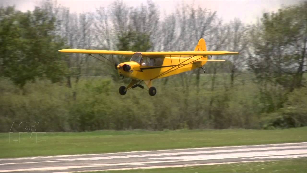 Piper Cub -- Still Teaching - DE