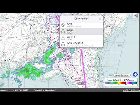 New FSS Briefing Format – BruceAir, LLC