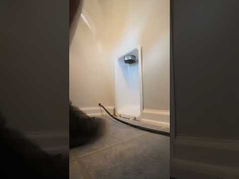 Dryer box installation Time-lapse photography#asmrcleaning#asmrvideo #oddlysatisfying