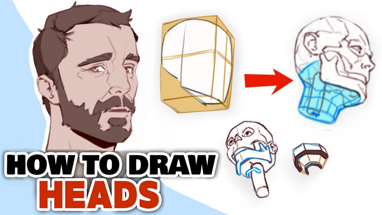 the COMPLETE GUIDE to drawing HEADS! [Character Design Bootcamp Day 1]
