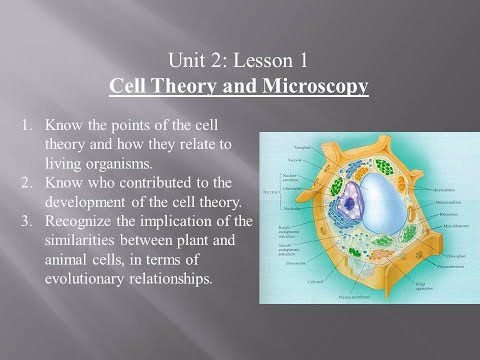 Science 10 Biology: The Cell Theory and Microscopes