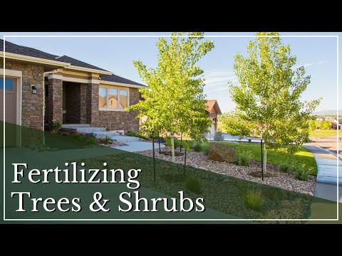 How and When to Fertilize Trees & Shrubs | Spring Fertilizing | Fertilizing Trees and Shrubs