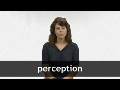 English Translation of “PERCEPTION” | Collins French-English Dictionary