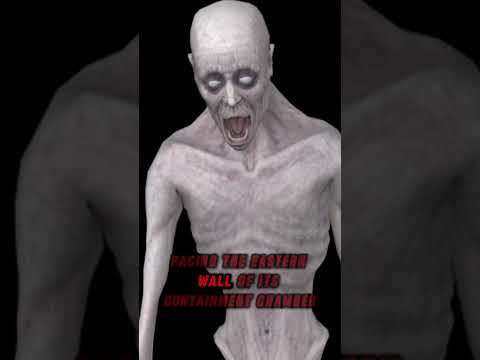 SCP-096: The Shy Guy's Rage Lore