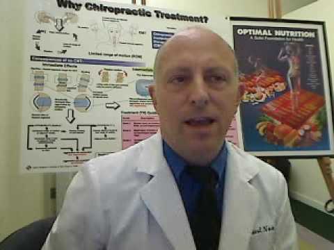 Dr. Noa's Natural Medicine Update-Gut Bacteria and obesity