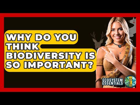 Why Do You Think Biodiversity Is So Important? - Ecosystem Essentials