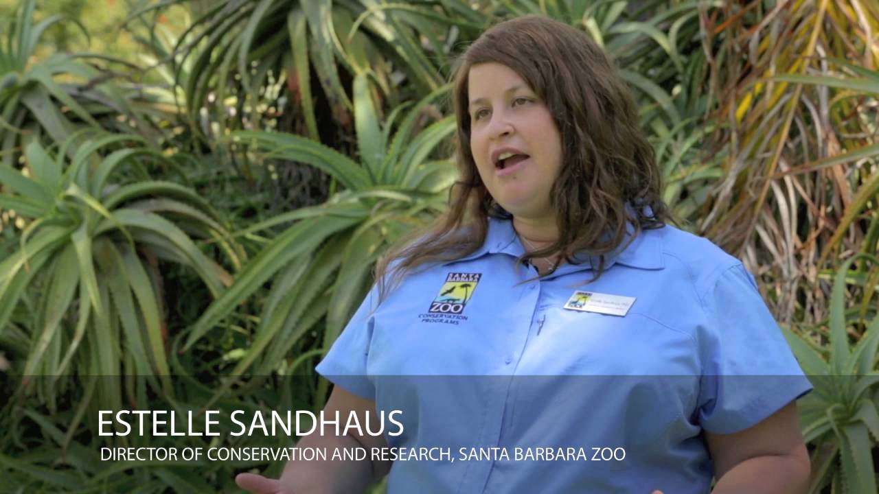 Urban Wildlife Conservation: Southern California