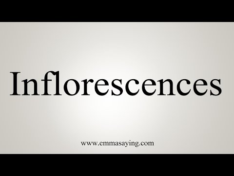 How To Say Inflorescences