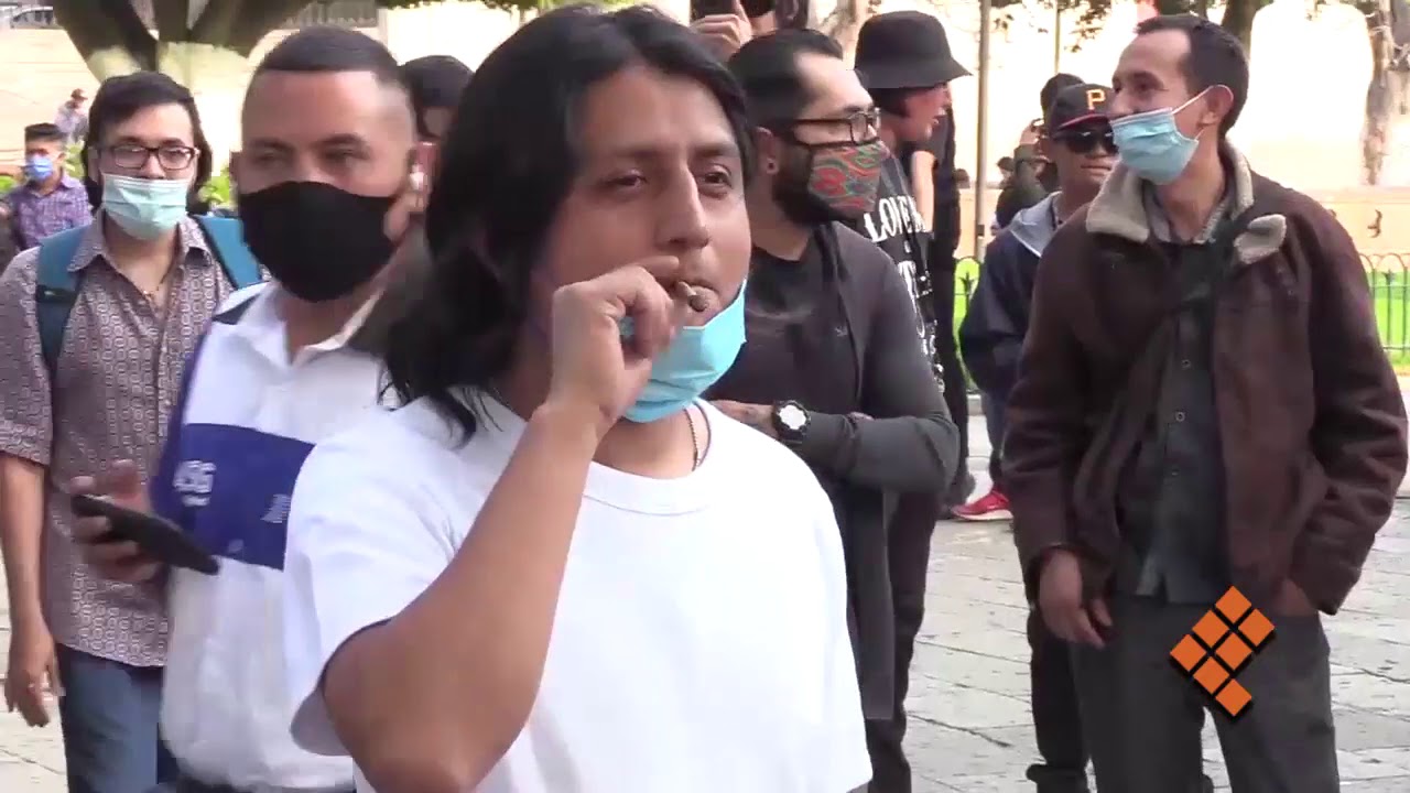 Puede Michoacán ser potencia en producción de cannabis tras legalización