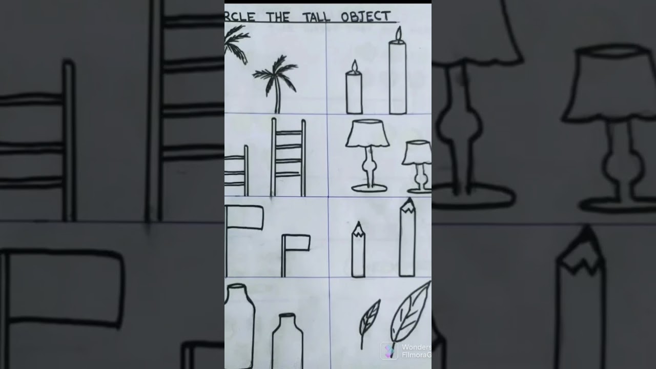 tall and short objects for kids ||worksheet |pre-mathematics for kids