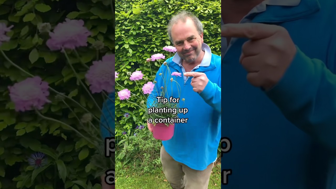 Create the perfect sized planting hole for your plants. Quick tip for planting your container