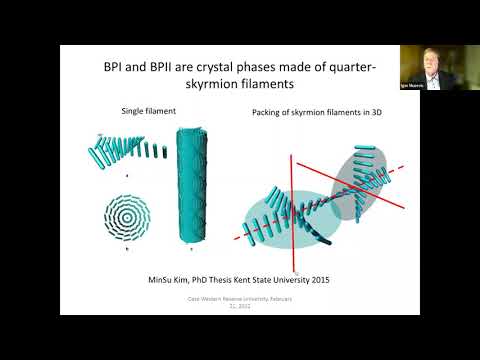 Skyrmions in Blue Phases of Chiral Liquid Crystals | Igor Musevic (Jožef Stefan Institute)