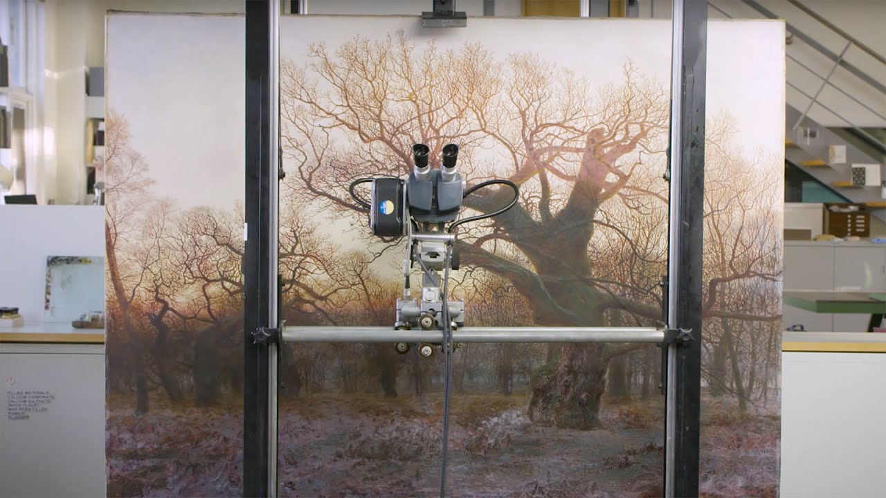 Conservation: An unusual bloom in the Forest of Sherwood