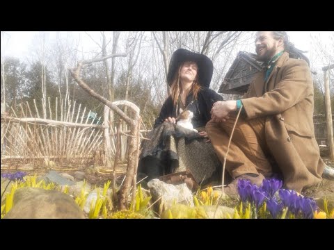 Wild leeks / ramps - Fantastic Feasts, and Where to Find Them!