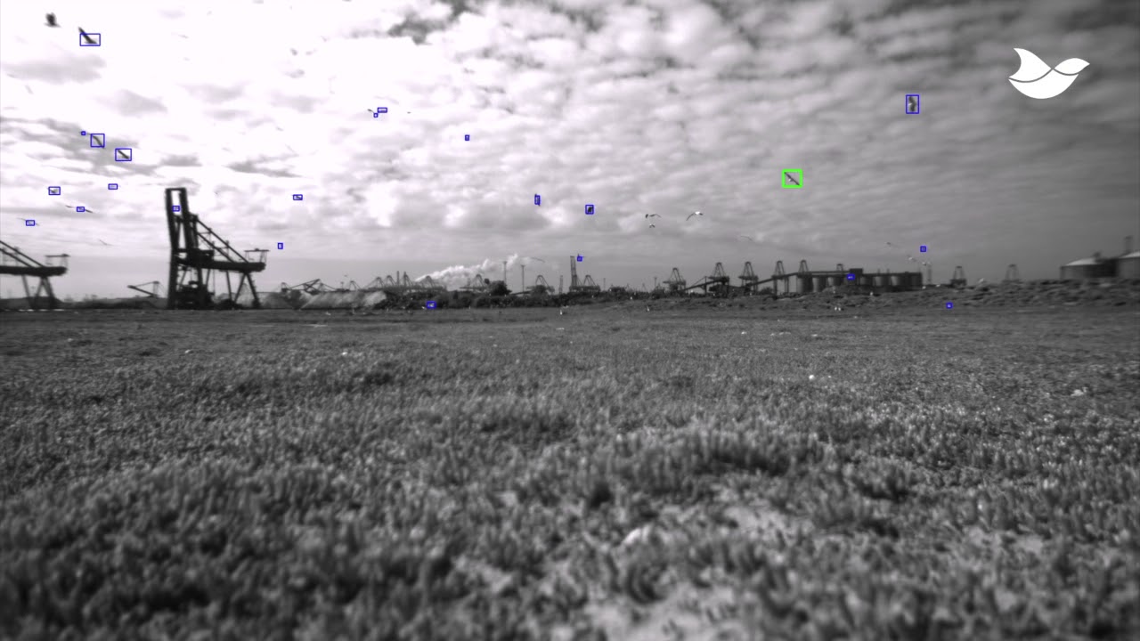 AVIX Bird detection system using machine learning / artificial intelligence