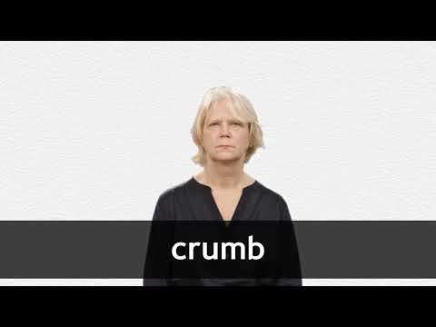 CRUMB definition and meaning | Collins English Dictionary