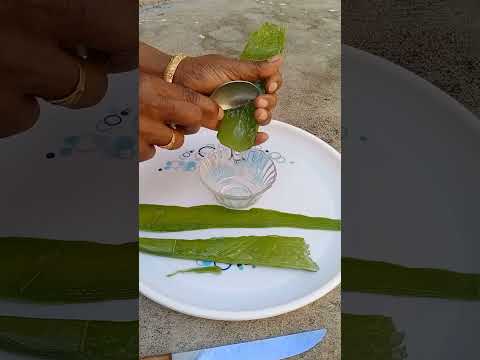 முகம் பொலிவுடன் இருக்க | கற்றாழை | Aloe Vera Gel Benefits