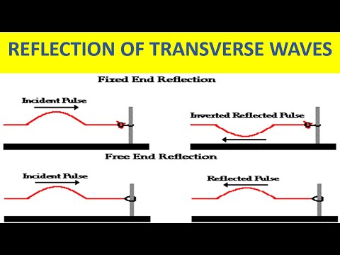 Waves: Reflection at denser and rarer ends