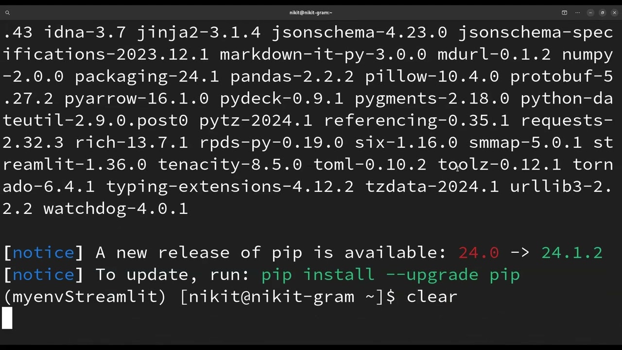 Setup python and streamlit in arch linux