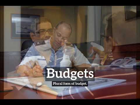 What is Budgets? | How Does Budgets Look? | How to Say Budgets in English?