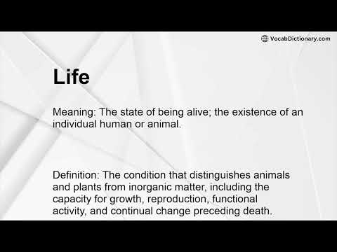 Life Meaning