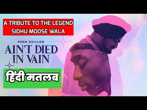 Ain't Died In Vain (Meaning In Hindi)| Prem Dhillon | A Tribute To Sidhu Moose Wala | Snappy | 2022