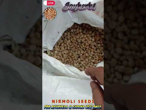 Nirmali Seed - Thetran Kottai Latest Price, Manufacturers & Suppliers