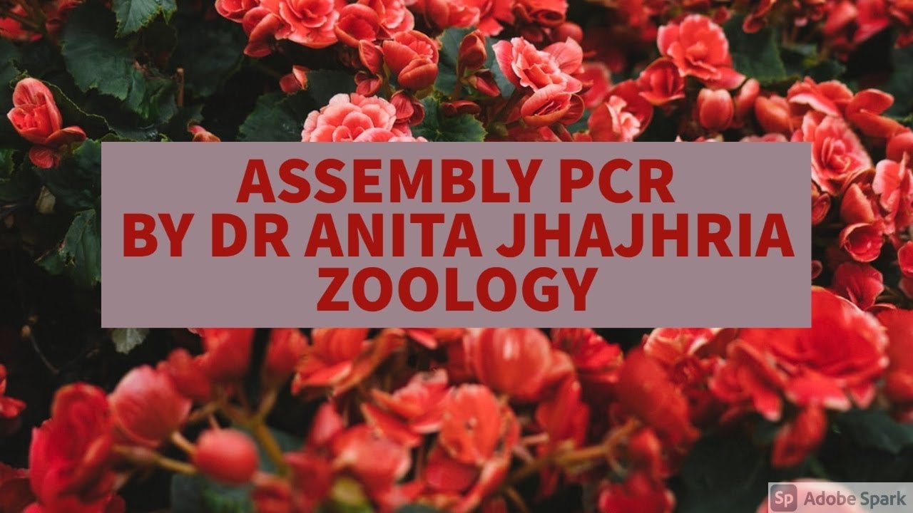 Assembly PCR