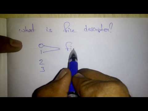 what is a File descriptor in operating systems