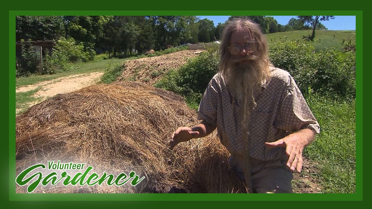 Doing nothing can be best | Volunteer Gardener