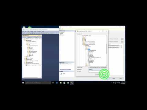 Restore SQL DB under another DB Name