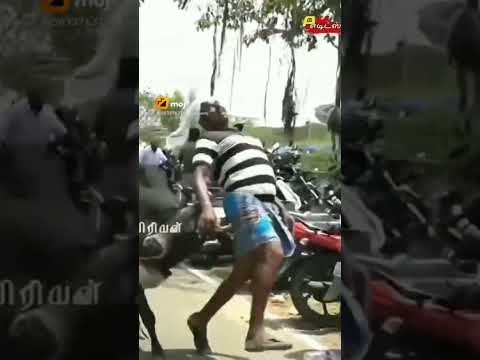 #jallikattu #shortvideo #funny #comedy