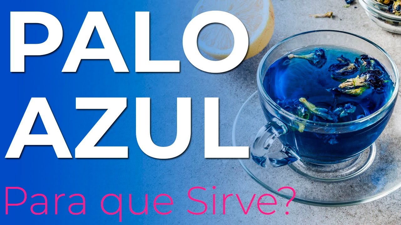 PALO AZUL Para que sirve 😱 Beneficios, Propiedades - Como prepararlo en Té o Agua de tiempo