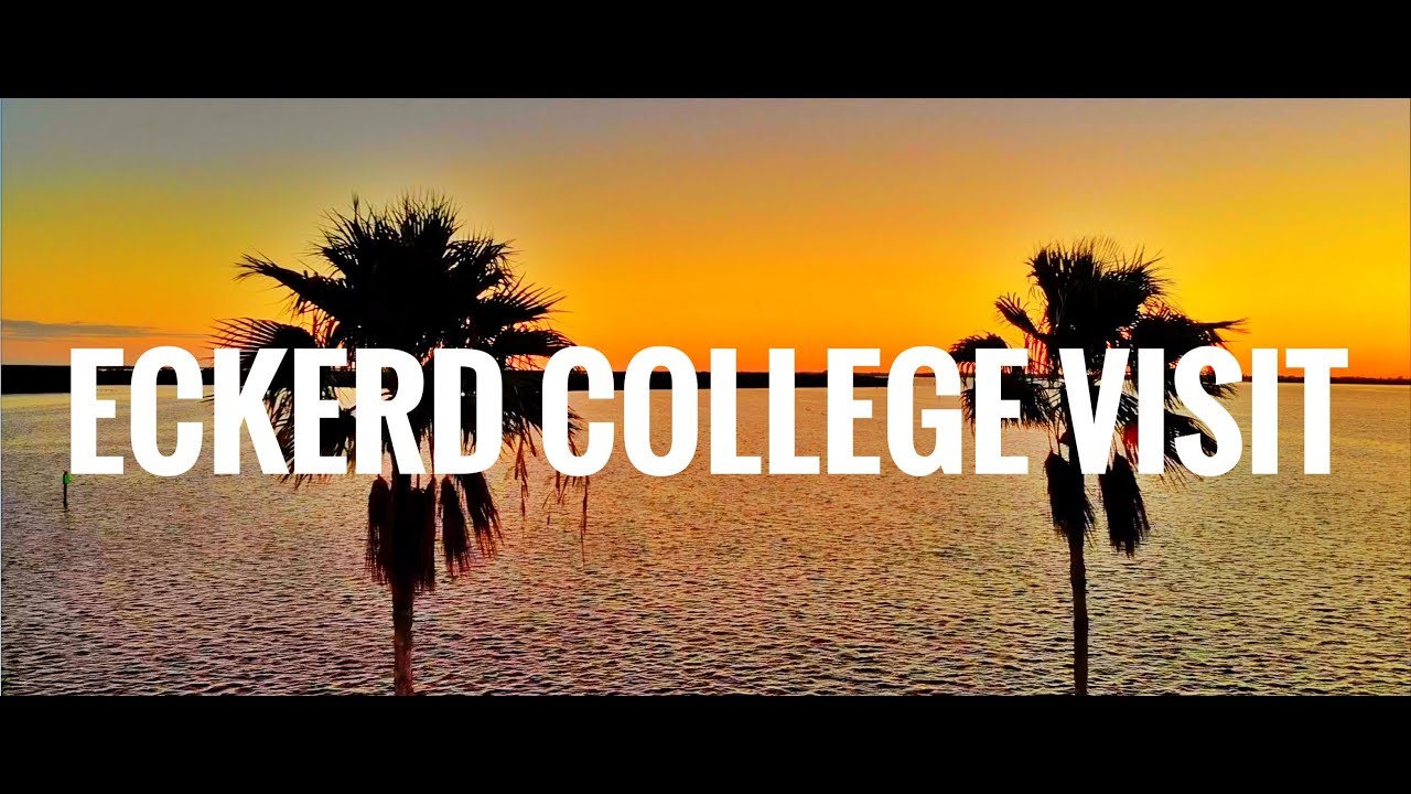 ACCEPTED TO COLLEGE!! (ECKERD COLLEGE VLOG)