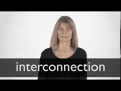 INTERCONNECTION Synonyms | Collins English Thesaurus