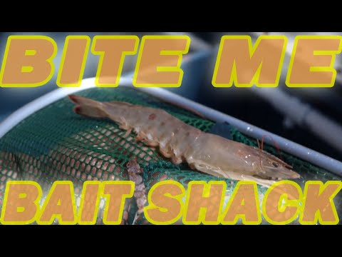 BITE ME BAIT SHACK COMMERCIAL